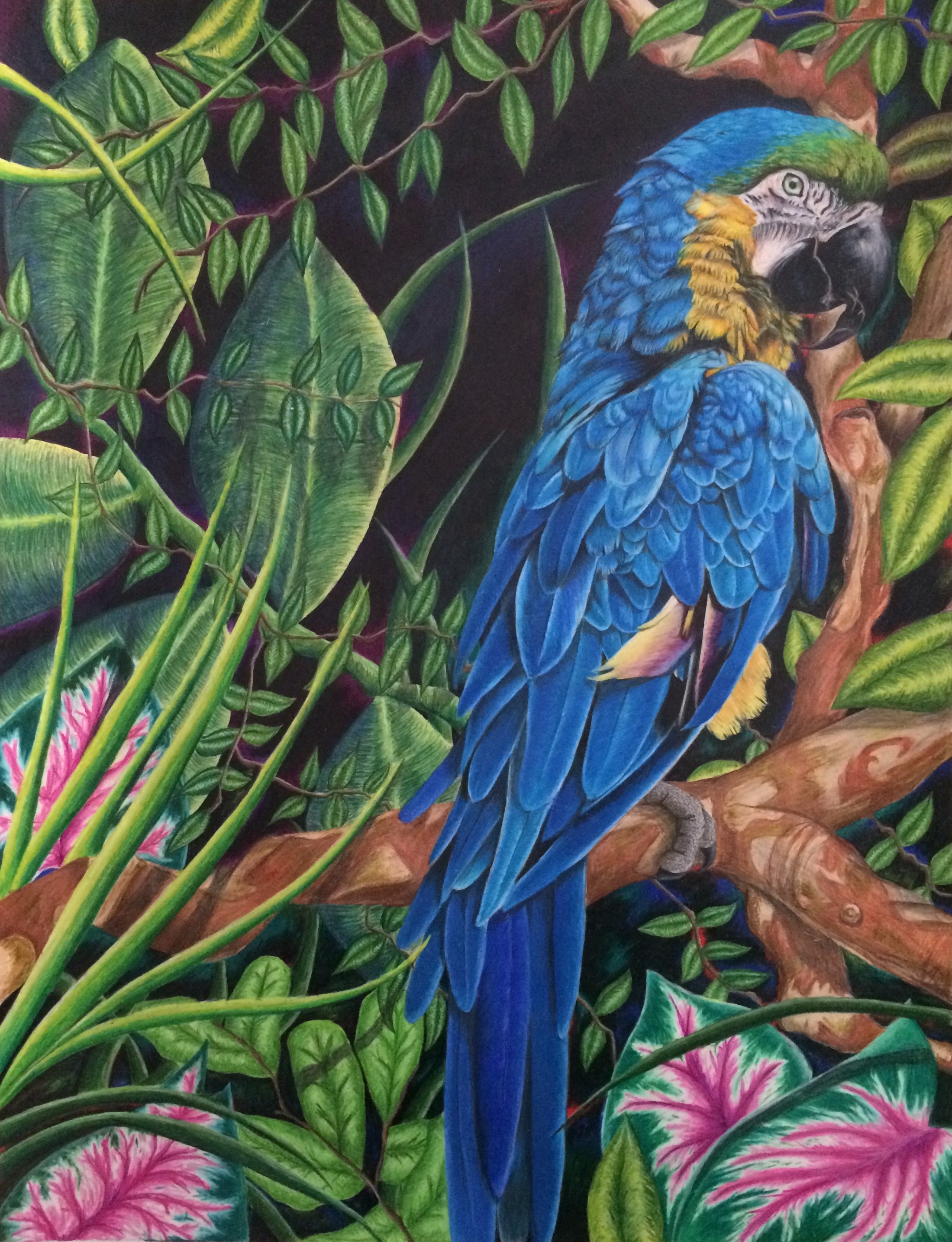 Katie Sayers Artworks – KatieSayersArt