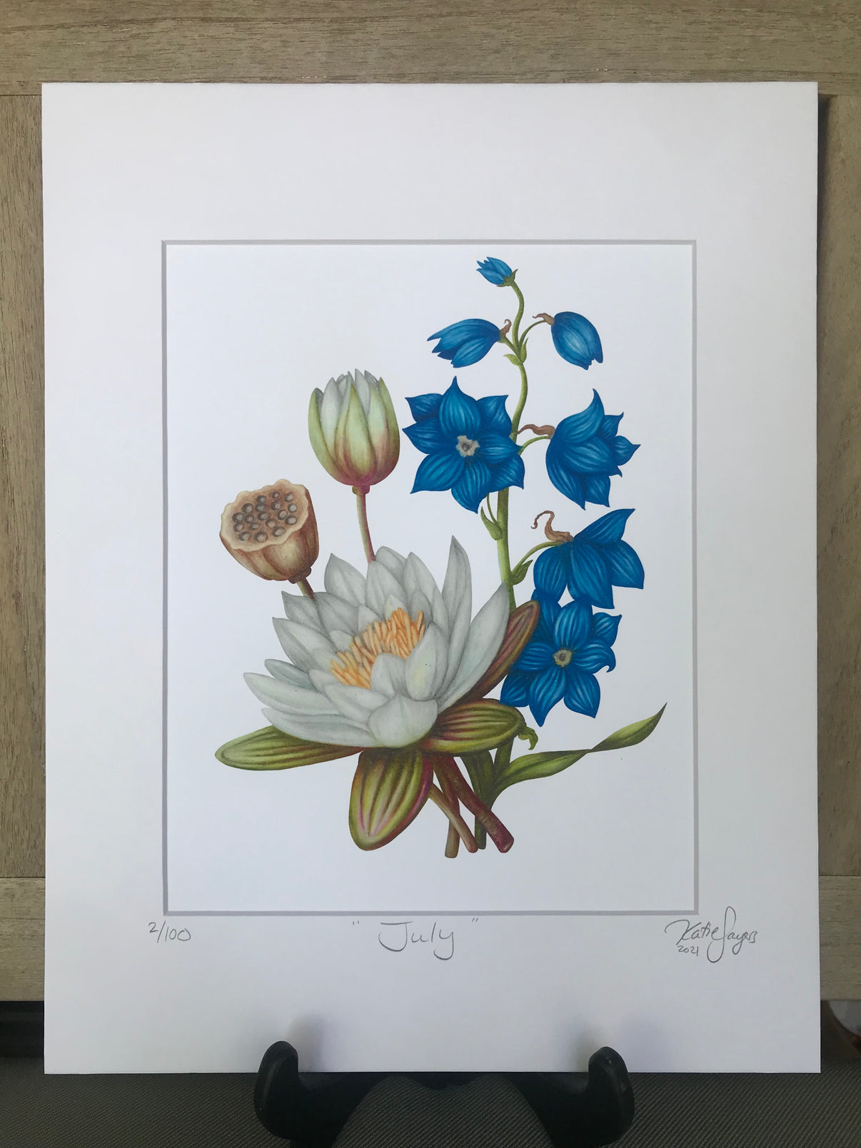 July Birth Flowers Botanical Illustration, Water Lily and Larkspur ...